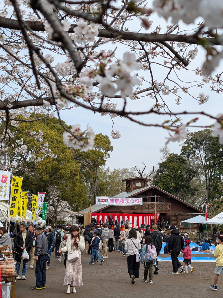 3/30（日）「綱島公園 桜まつり」と「TSUNASHIMA CRAFT BEER FEST」が開催されました！ | 綱島もるねっと - 綱島 ...